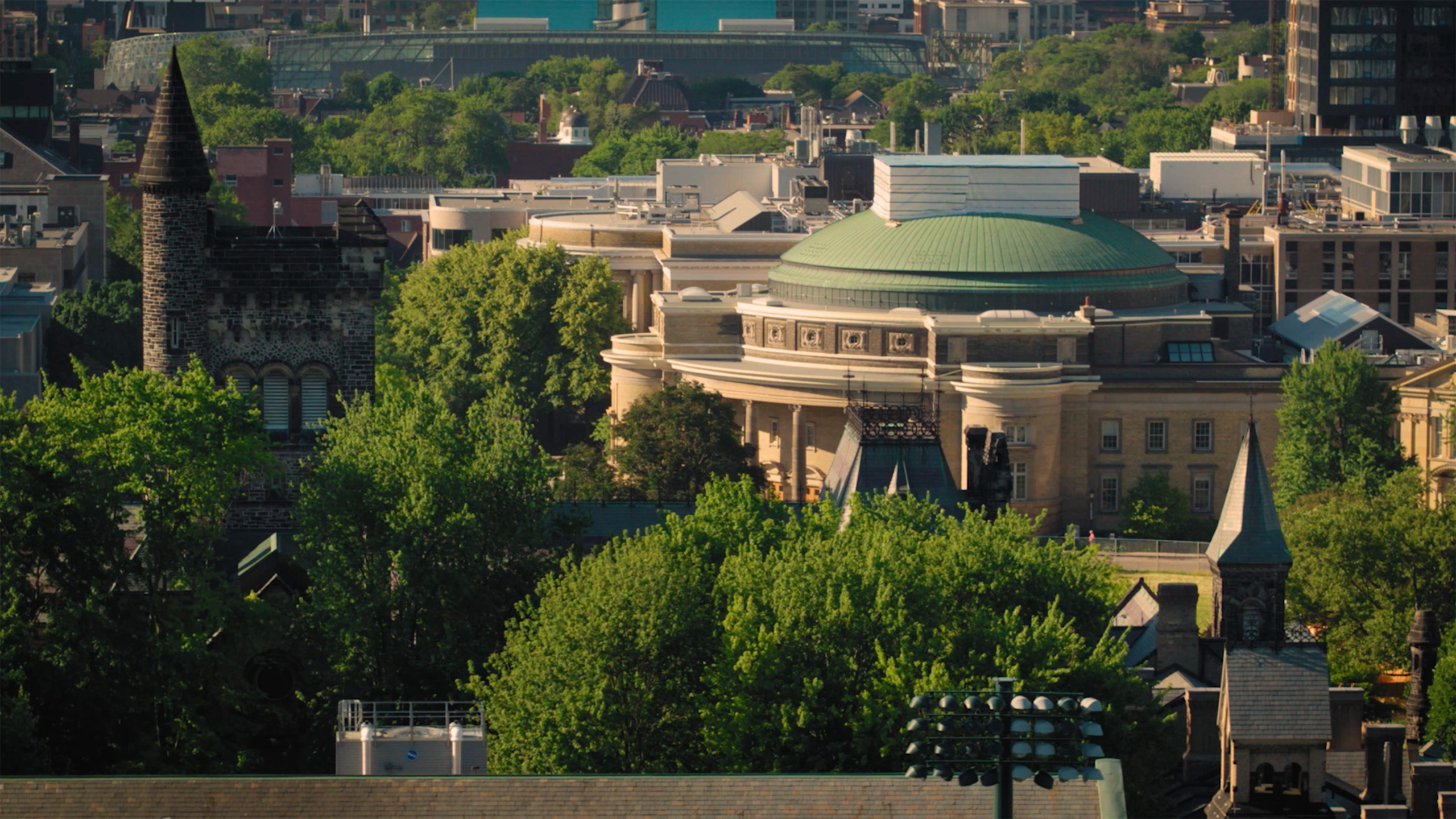University of Toronto - The Reach Alliance