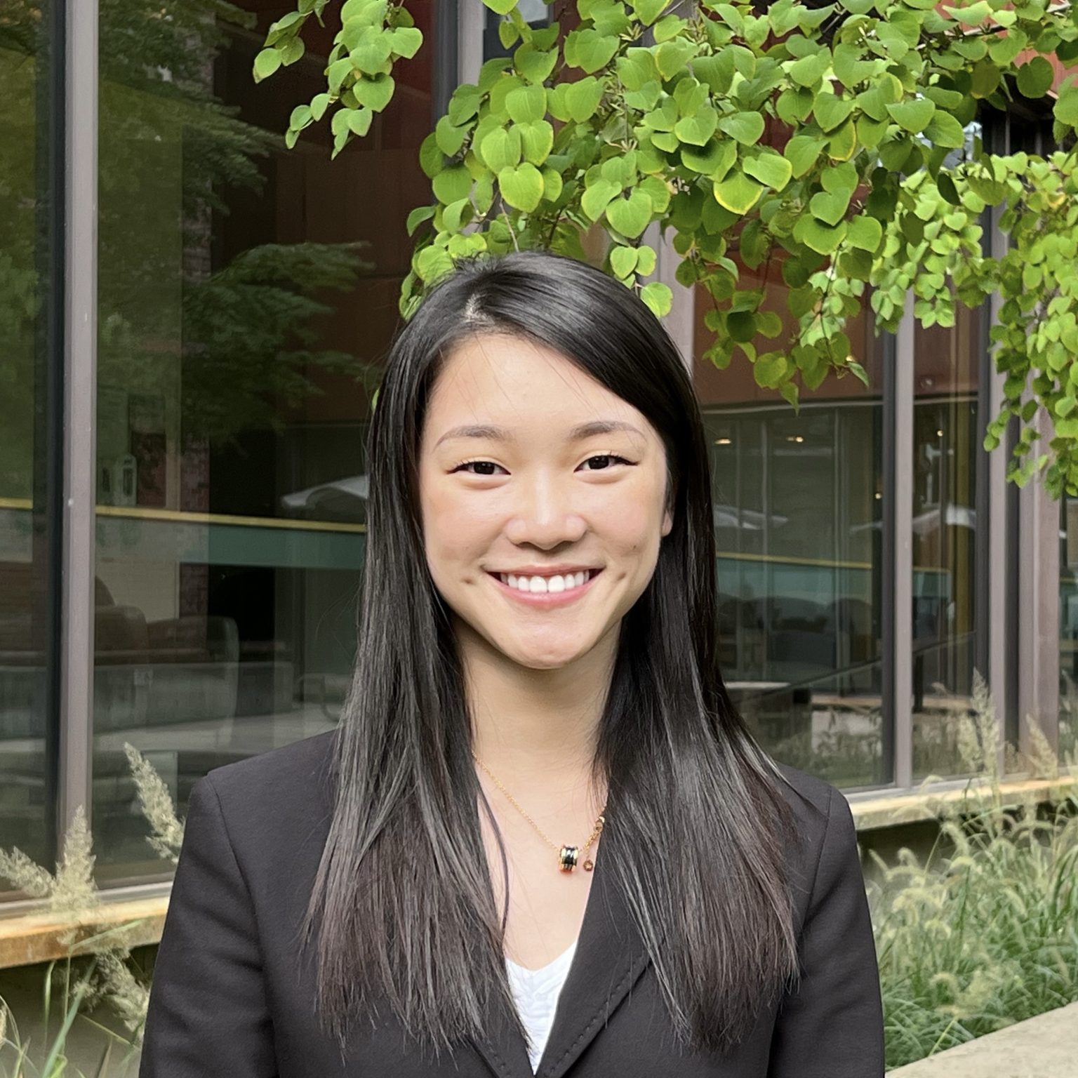 Resilience in Recovery: The Unblocked Cash Project and Blockchain ...