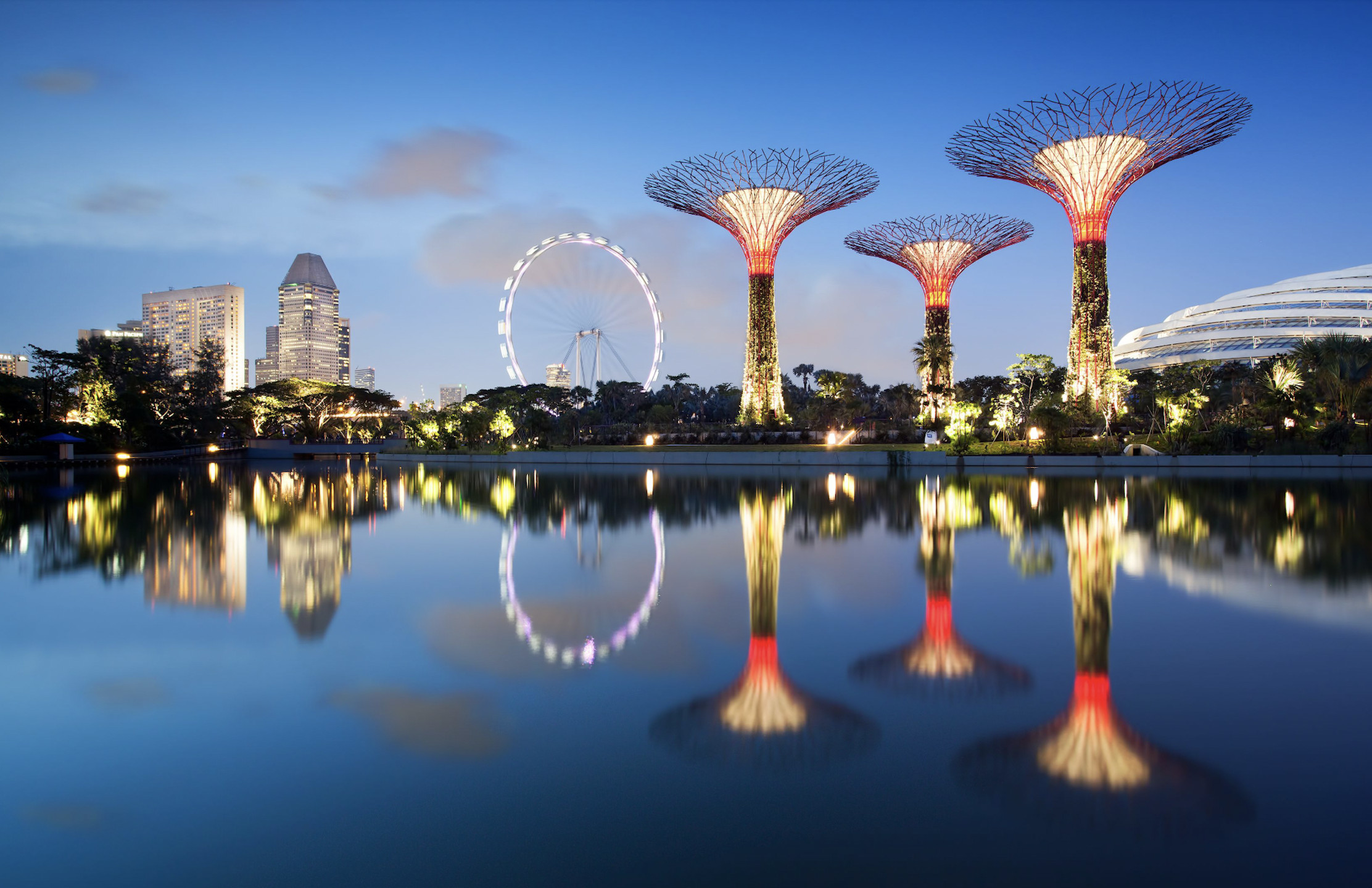 2025 Reach Conference - The Reach Alliance